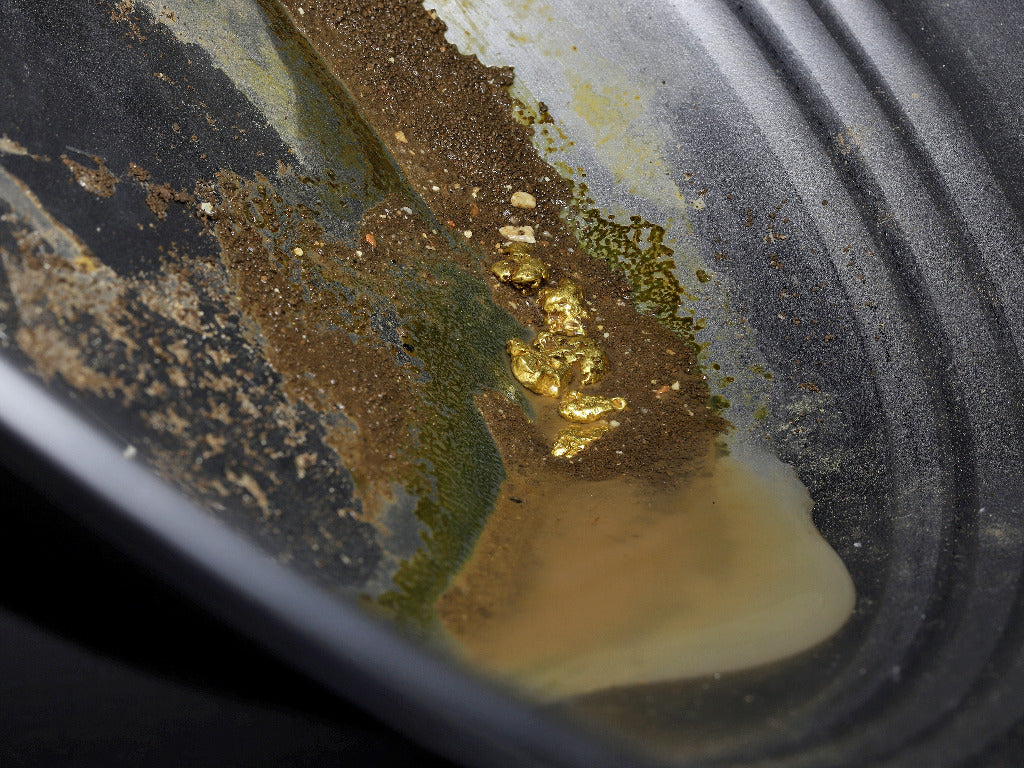 Gold Prospecting in Alabama: Where to Find Gold in the Heart of Dixie ...